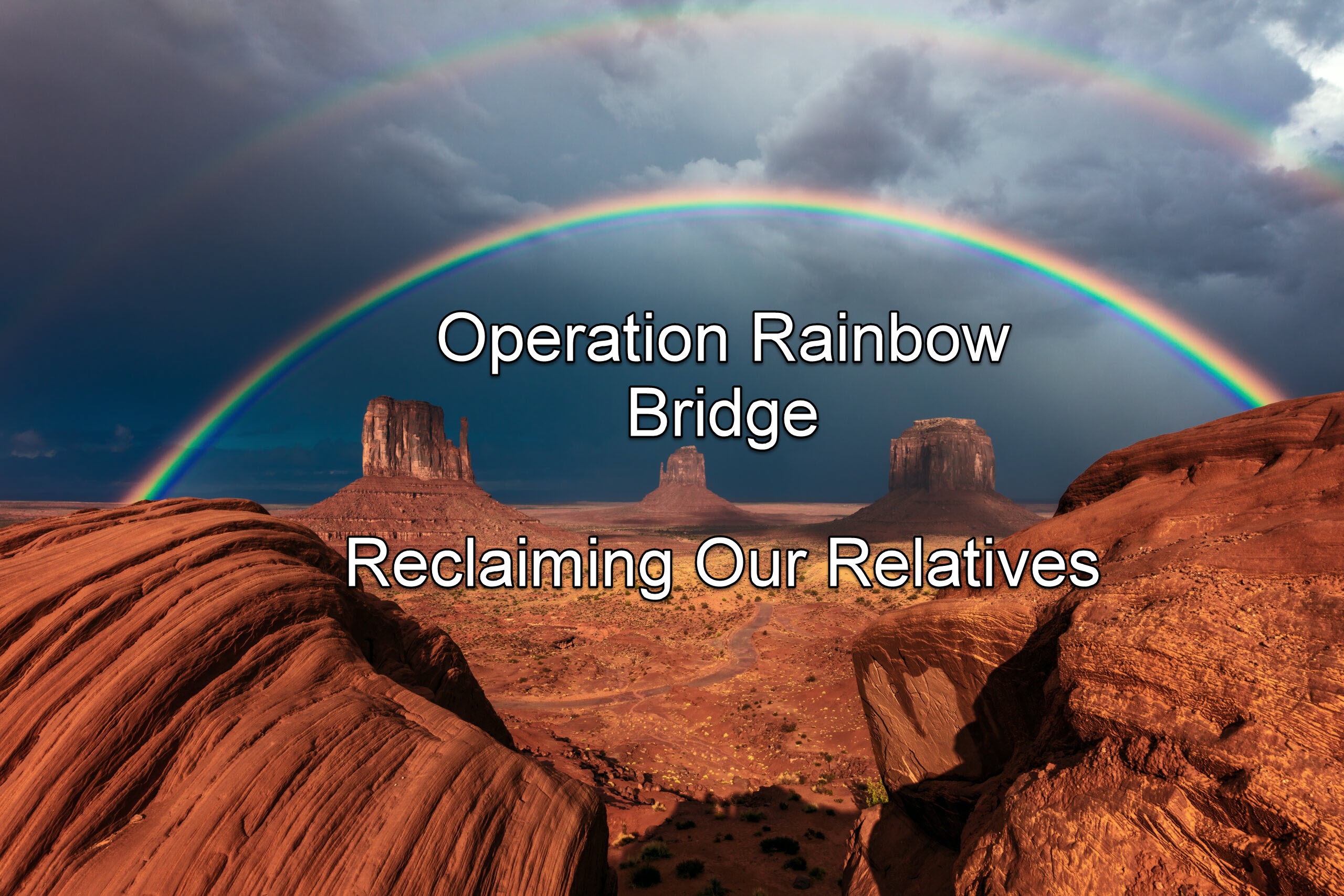 Operation Rainbow Bridge